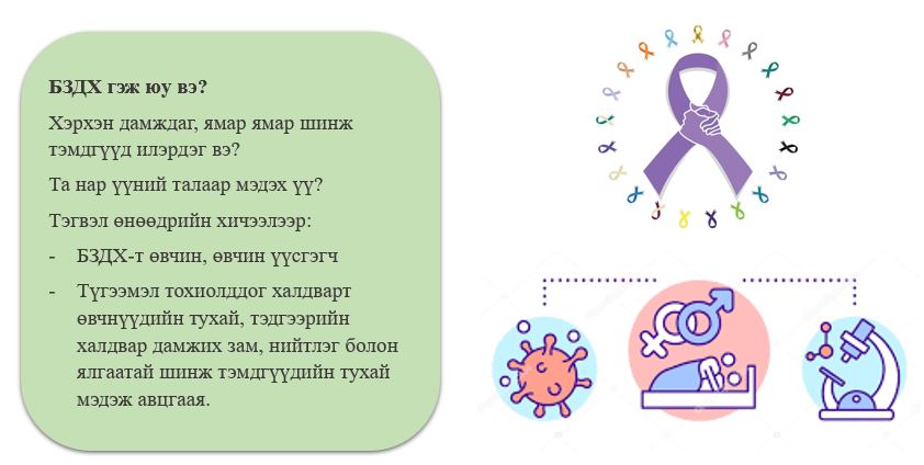Мэдлээ Цахим контент